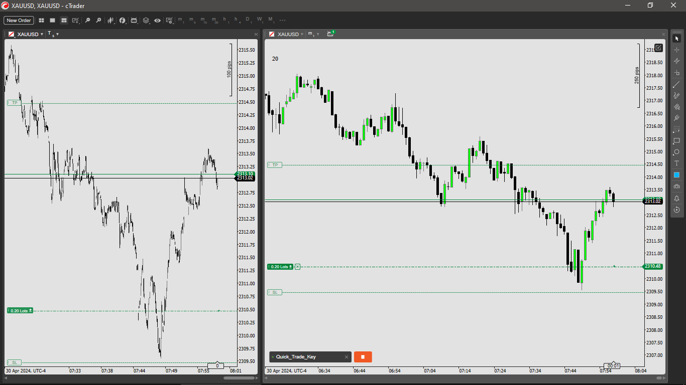 Quicktradeentryhotkey Cbot Algorithmic Forex Trading Ctrader Community